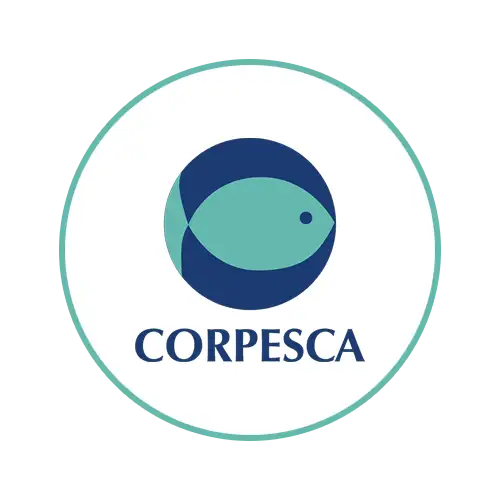 valvulascr.com